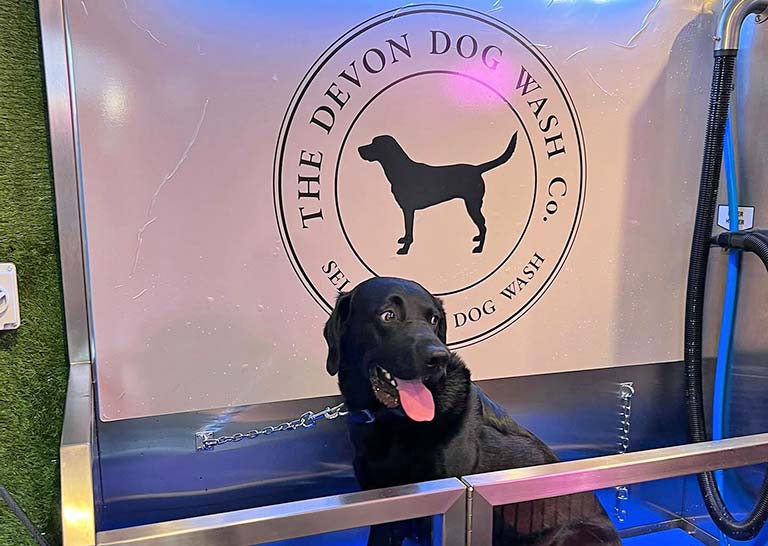 Driftwood | Dartmouth | Toad Hall Cottages